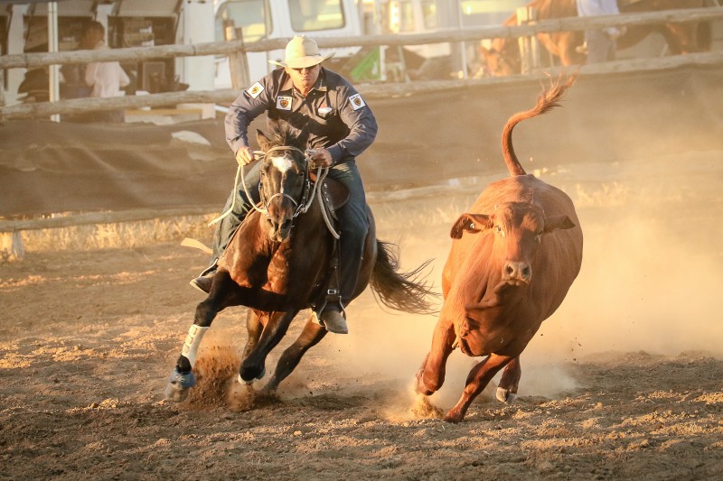 Campdrafting over the years | Pete Comiskey Campdrafting