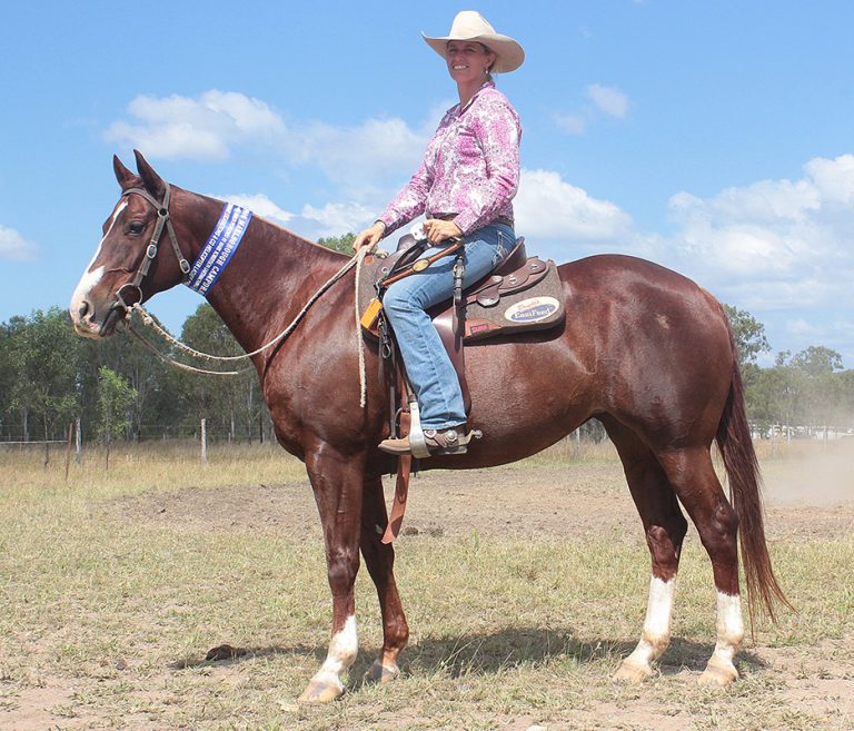 Current Horses | Pete Comiskey Campdrafting